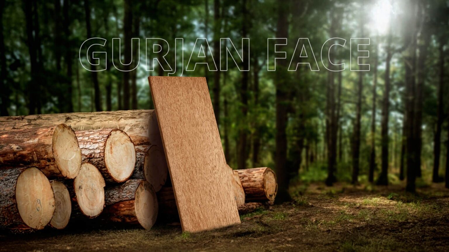 The Durability Factor: How Gurjan Face Plywood Outlasts